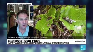 Eve IRVINE - France 24