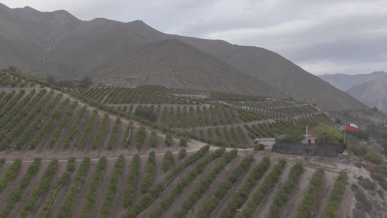 Chile: Will water become a right for all? - Focus - France 24