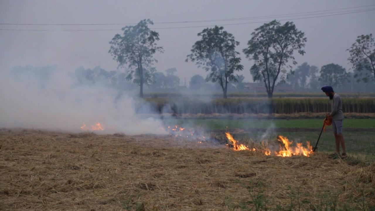 India chokes as farmers set fields on fire - Focus