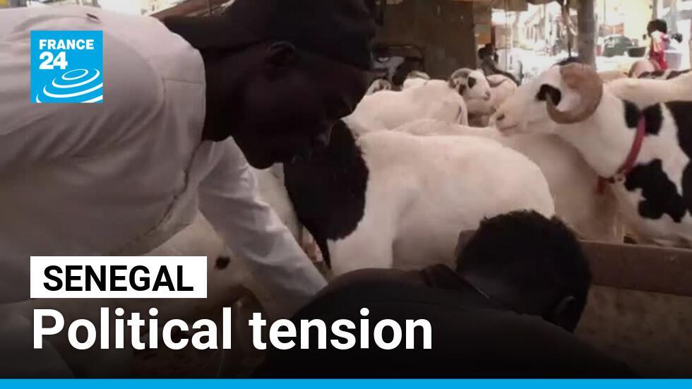Senegal: Political tension affects Tabaski preparations - France 24