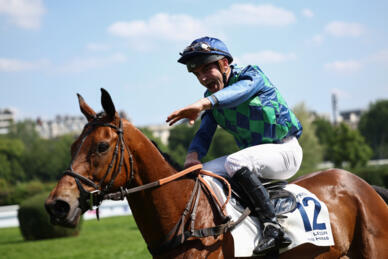 Le cheval Diamond Carl remporte le Grand Steeple-Chase de Paris