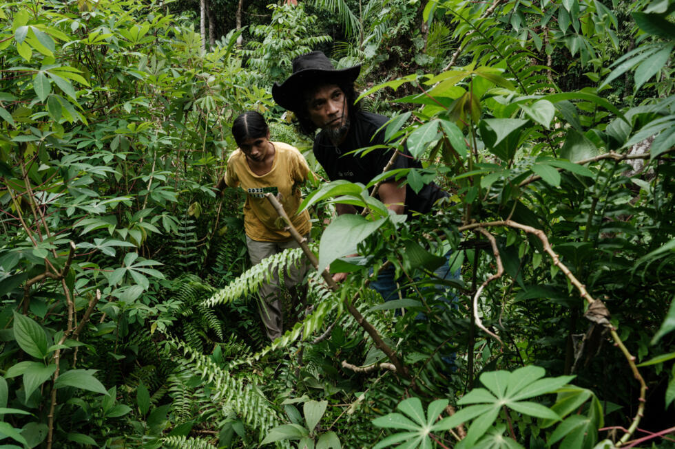 Au nom de l'inox et des batteries, la plus grande mine de nickel au ...