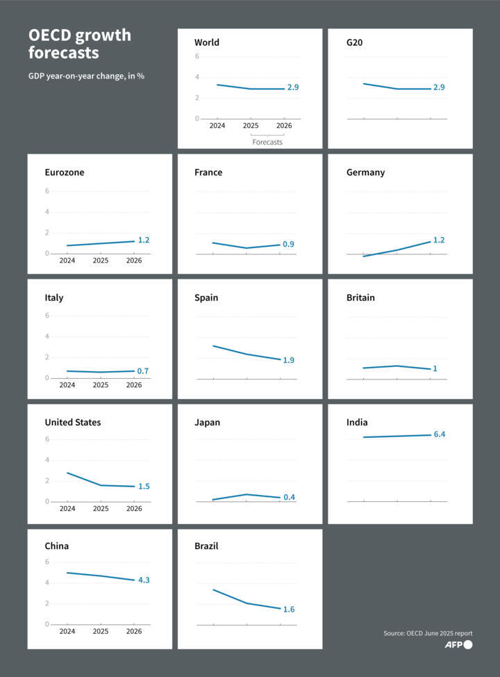 Trade war cuts global economic growth outlook: OECD