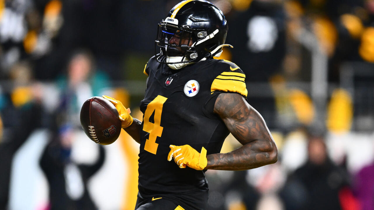 Steelers receiver Metcalf strikes Lions fan