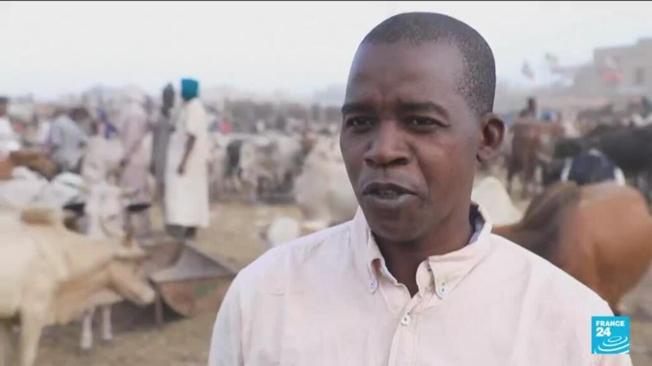Mali inflation: Eid preparations overshadowed by high prices - France 24