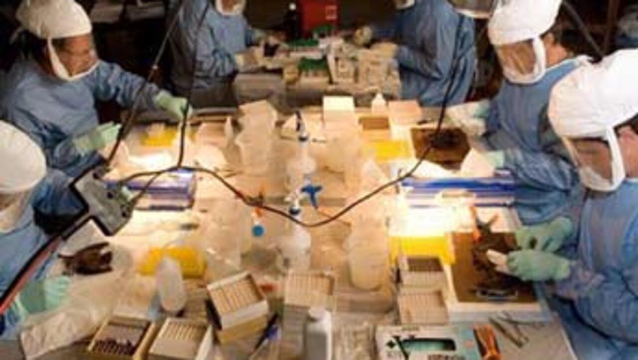 New killer virus identified in South Africa - France 24