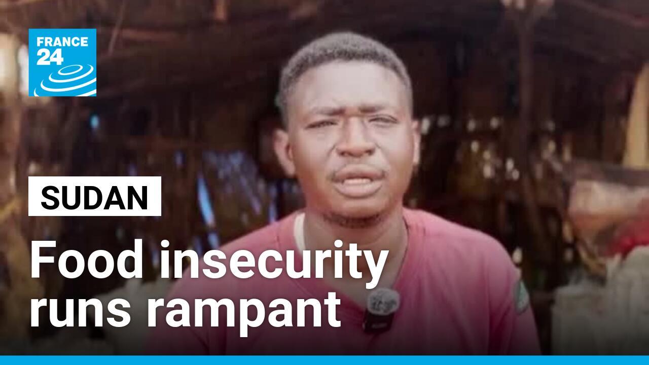 Starvation in Sudan: As the war rages on, food insecurity runs rampant ...