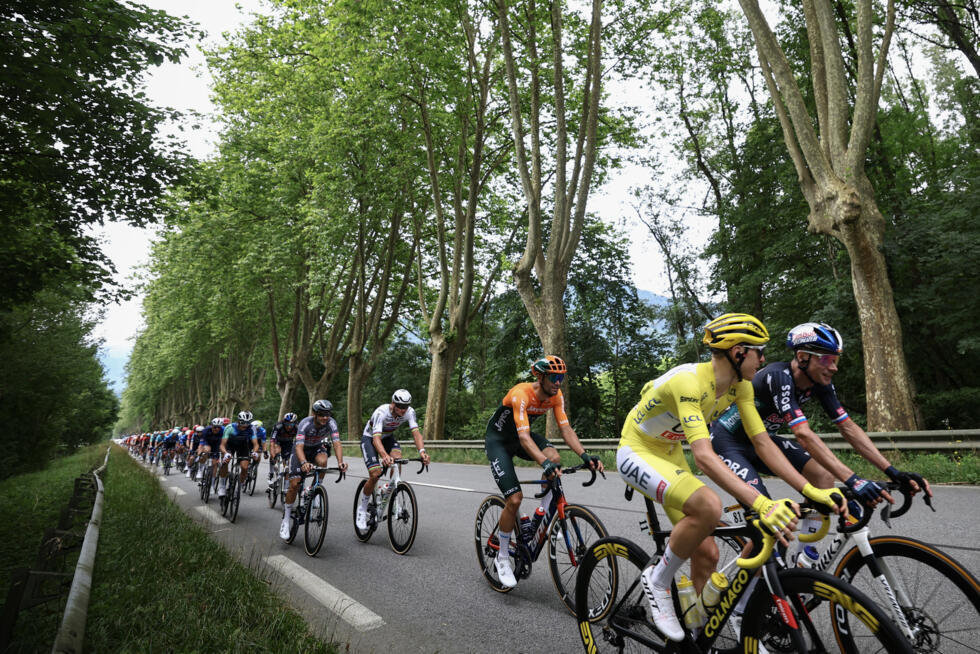 Roglic Tour de France redemption in ruins after latest withdrawal