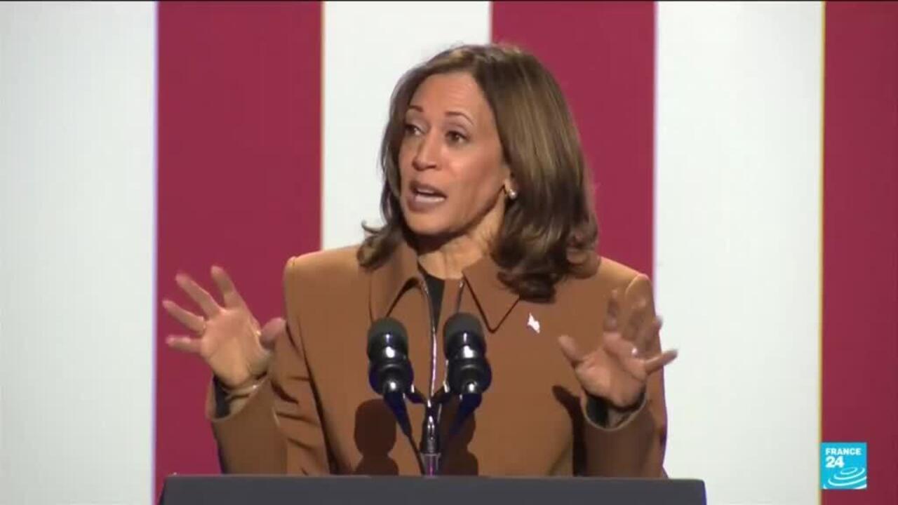 Michelle Obama warns of women becoming 'collateral damage' at Harris ...