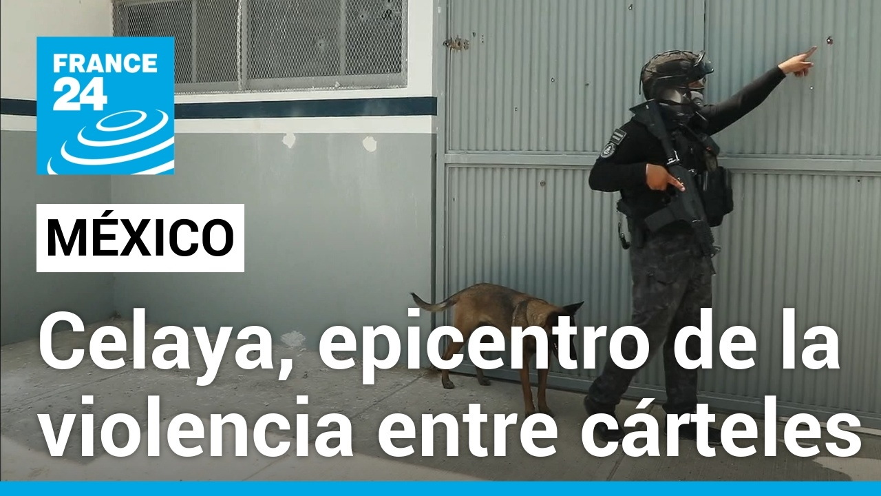 Carteles de droga libran brutal guerra territorial en Celaya, la ciudad ...