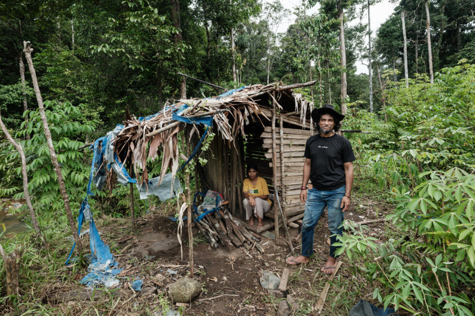Au nom de l'inox et des batteries, la plus grande mine de nickel au ...