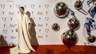 Chinese star Fan Bingbing wins Taiwan top film award