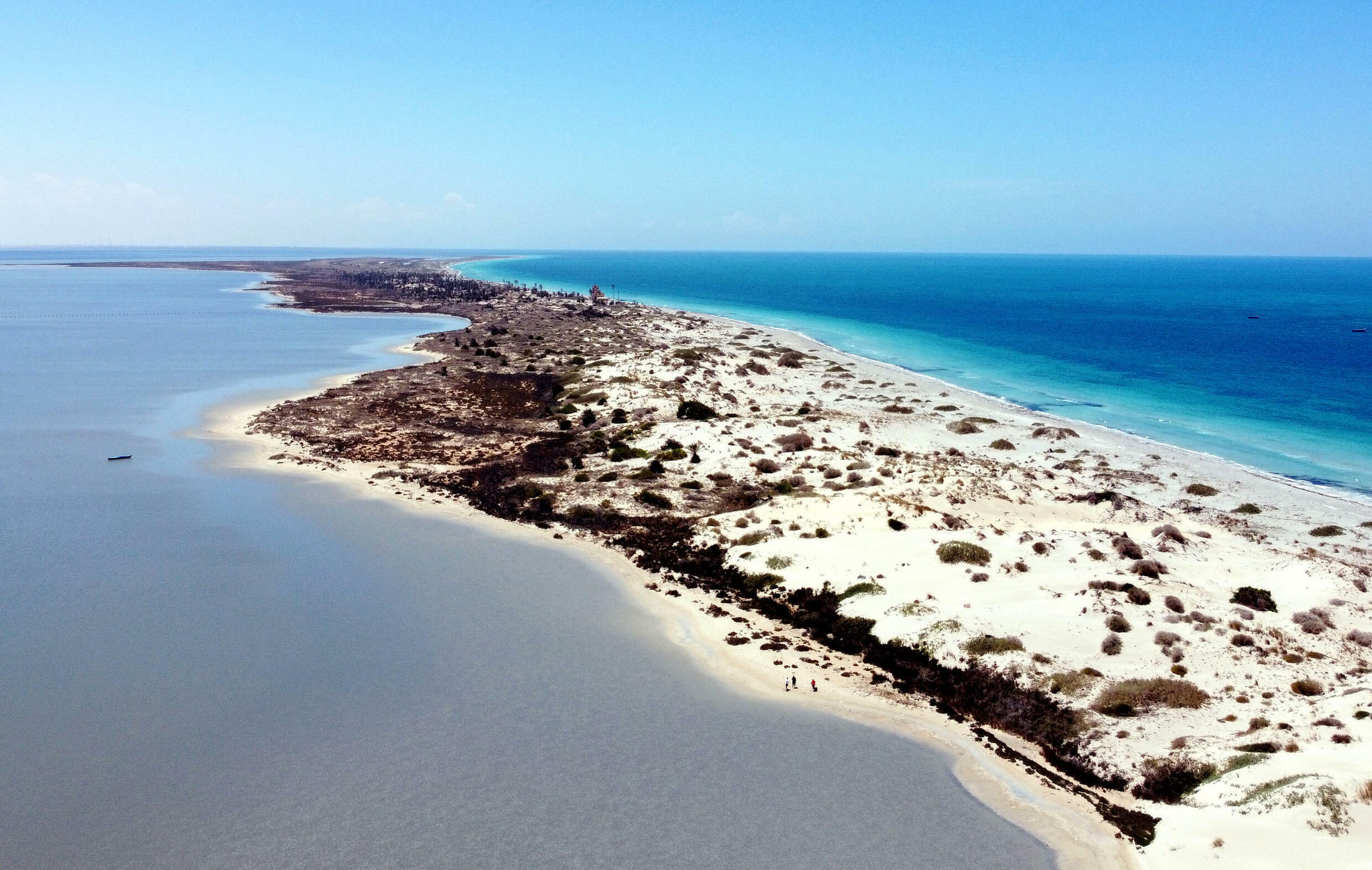 Libya's wildlife treasure island at risk of ruin - France 24
