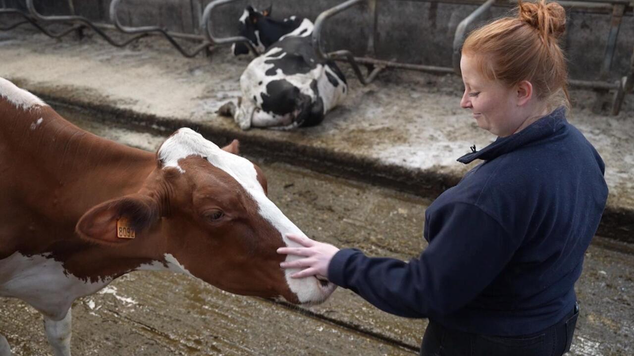Elections européennes : en Belgique, le ras-le-bol des agriculteurs - Focus