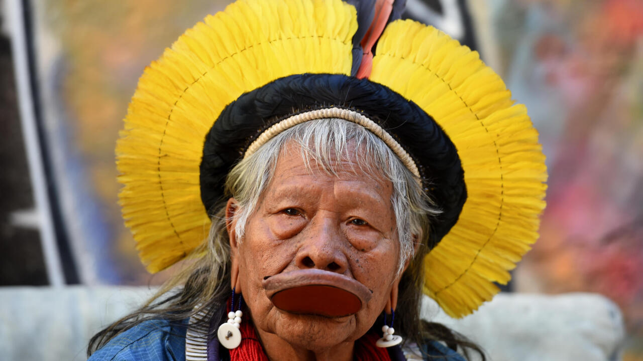 Brésil : le chef emblématique Raoni hospitalisé après avoir contracté ...