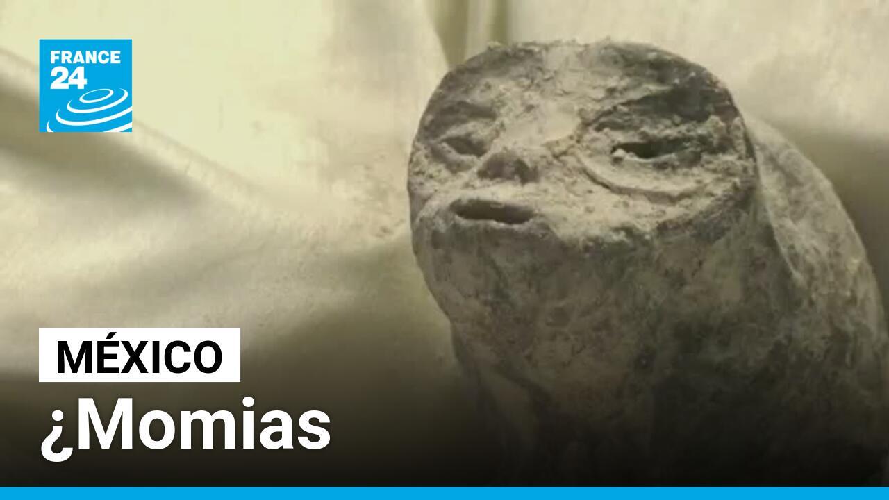 Congreso de México exhibió supuestas momias extraterrestres procedentes ...