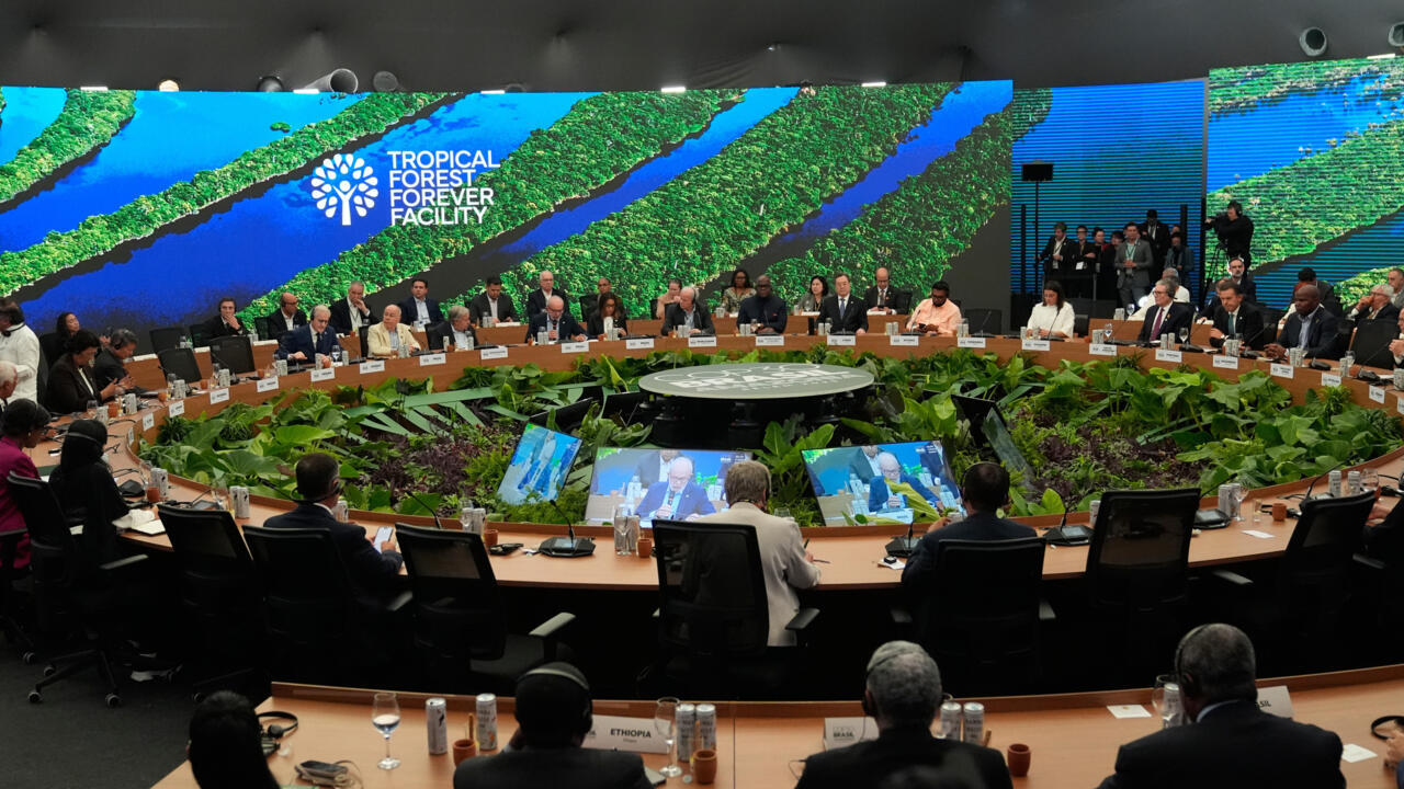 COP30 en Brasil: la búsqueda de una recaudación frenética de fondos marca el inicio de la cumbre ...