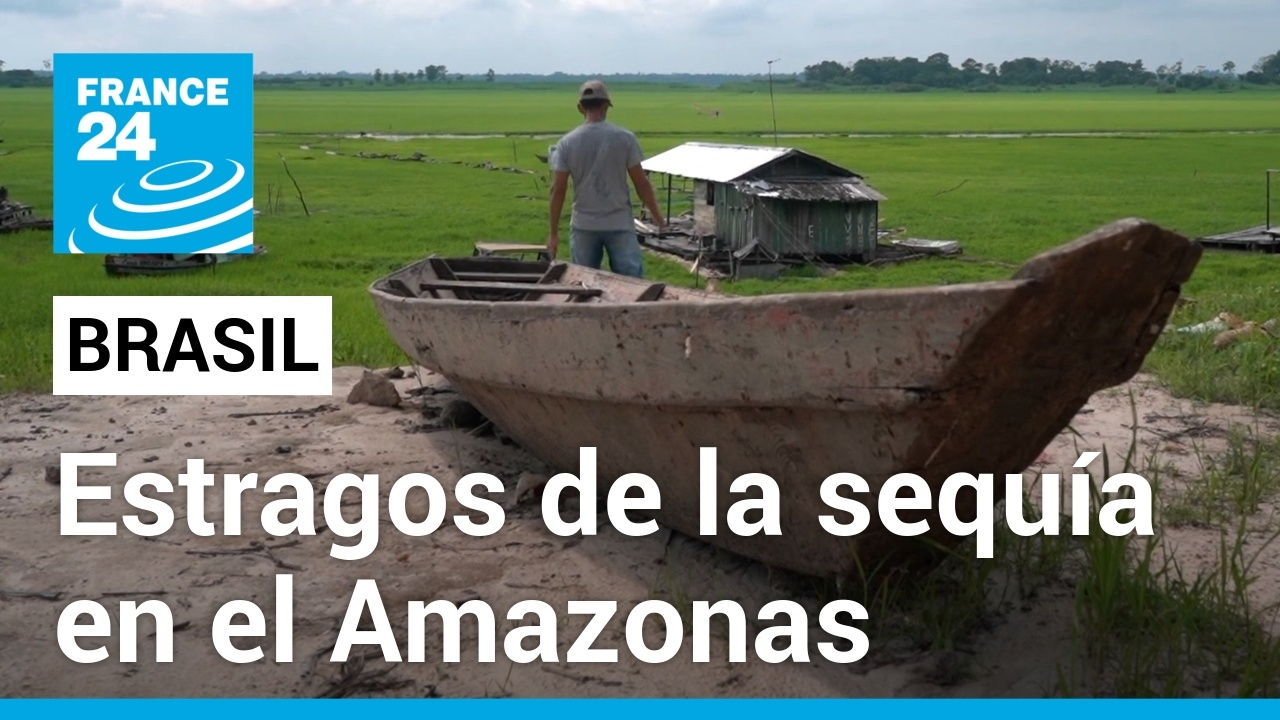 Sequía en el Amazonas: Brasil se enfrenta a un desastre ambiental - En Foco