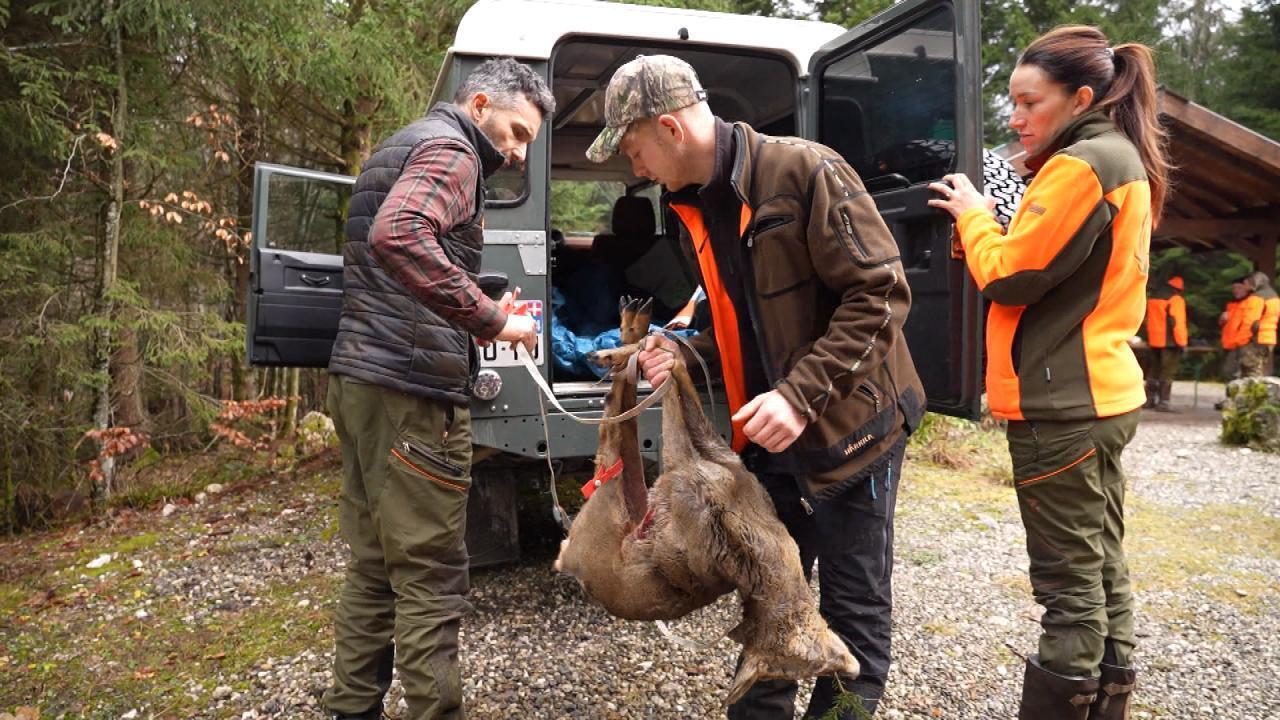 Caught in the crosshairs: French hunters under pressure after deaths of ...