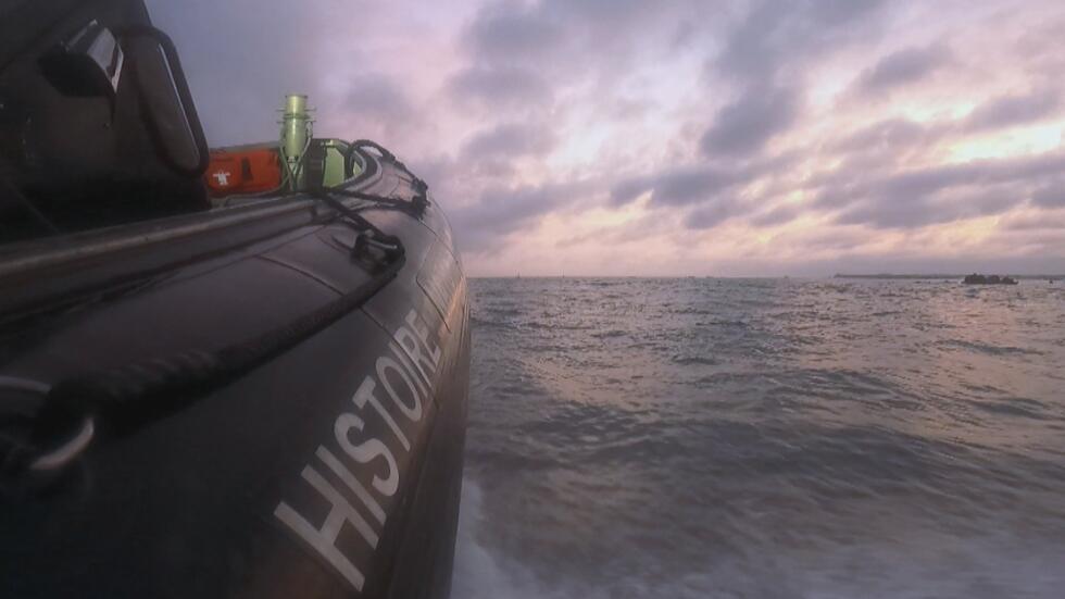 French scientists launch programme to decode DNA of marine species ...