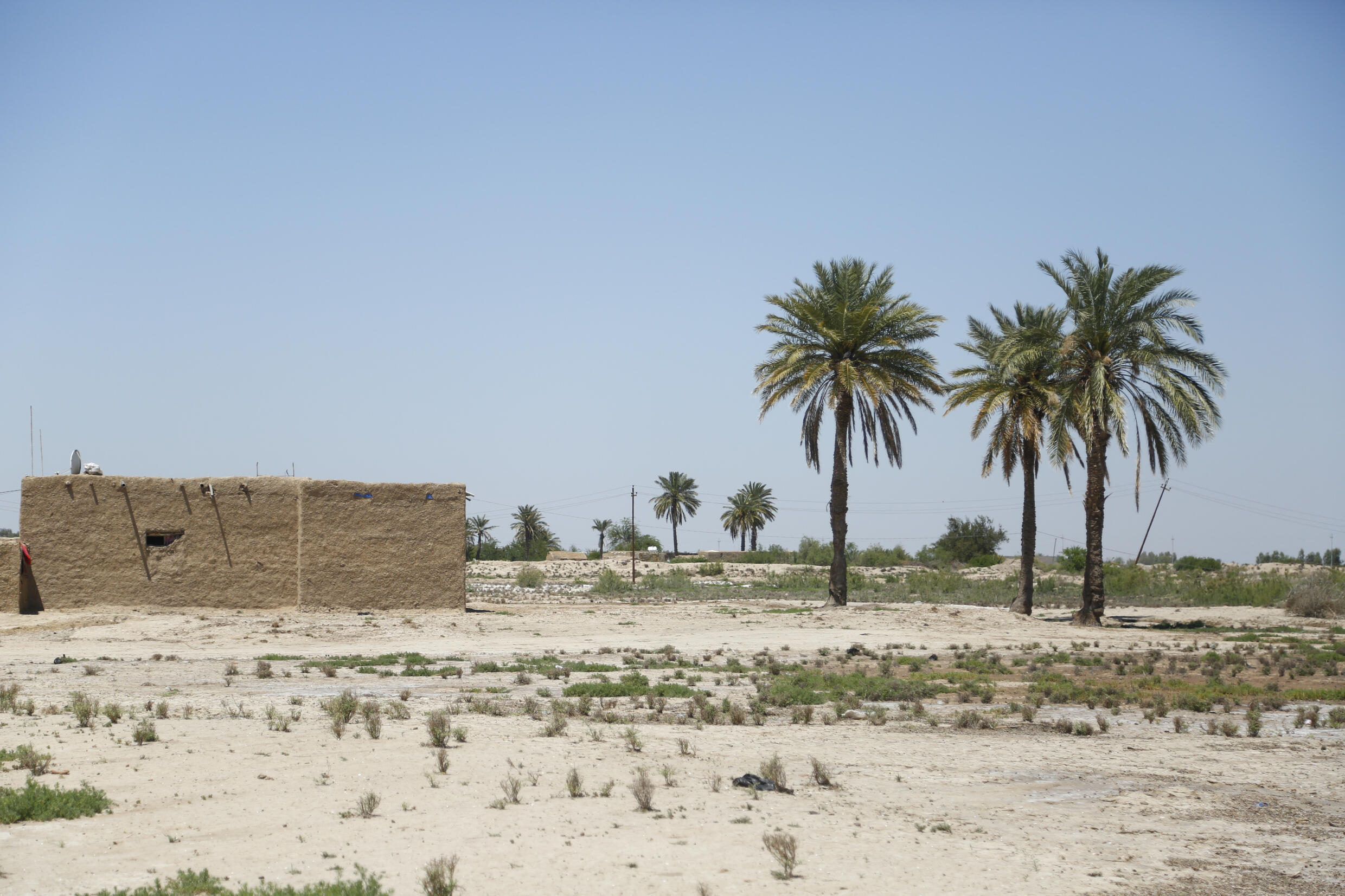 Iraq's climate migrants flee parched land for crowded cities