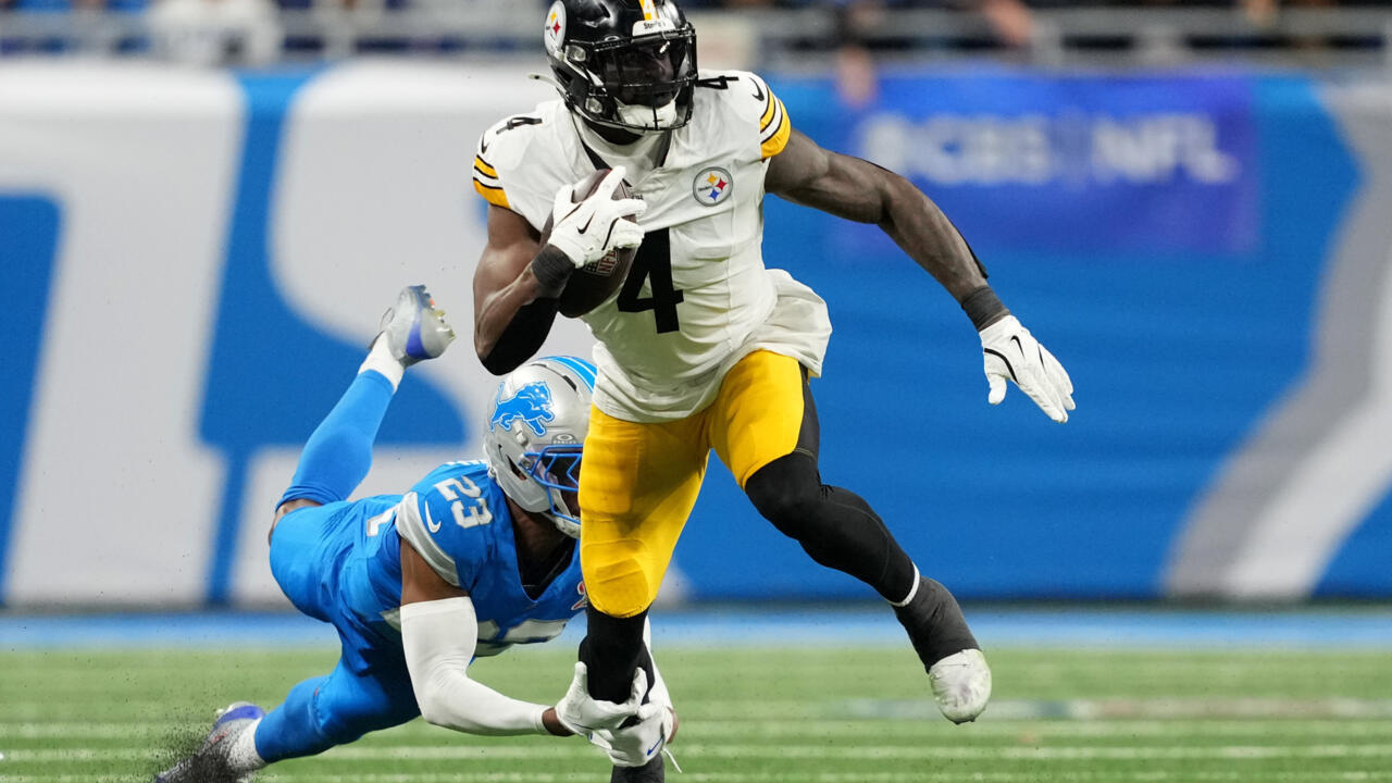Steelers' Metcalf suspended two games over fan outburst