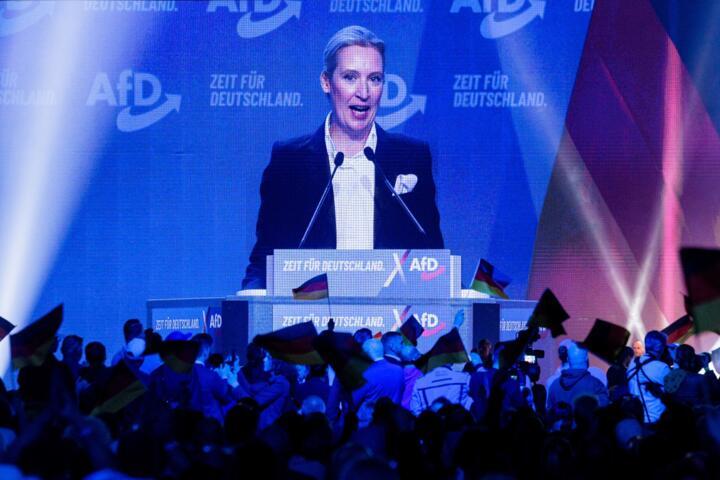 'Perfect fig leaf': German AfD leader Alice Weidel helps 'normalise' her far-fight party