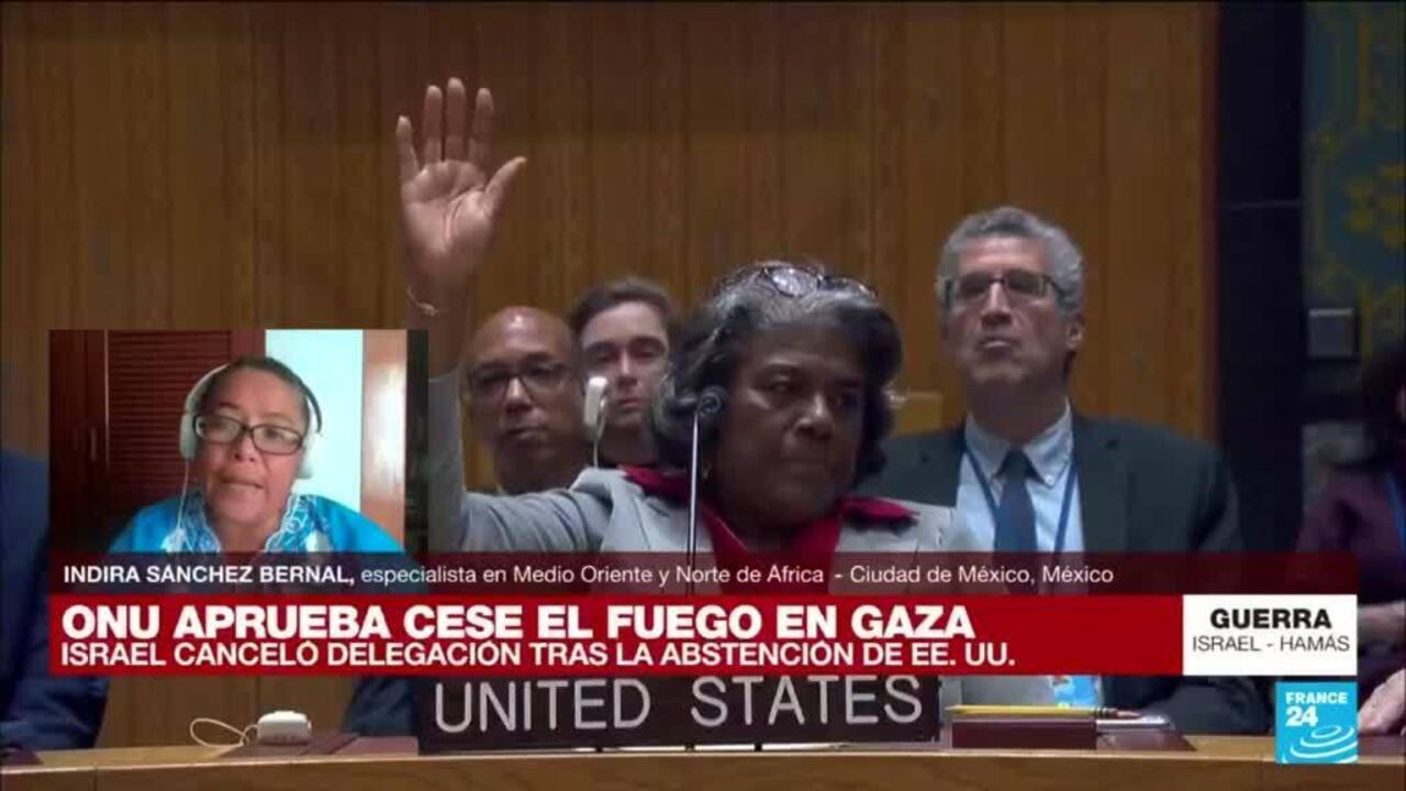 Indira Sánchez: 'La ONU puede intervenir para que cese el fuego en Gaza ...