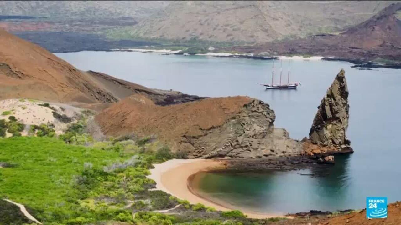 Environment : Tracing Darwin’s footsteps through modern ecological ...