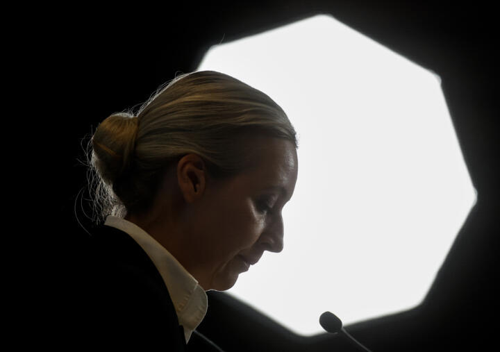 'Perfect fig leaf': German AfD leader Alice Weidel helps 'normalise ...