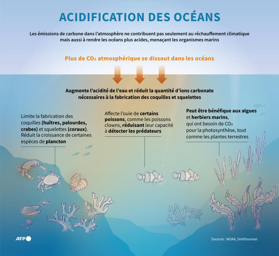 L'UE met en avant son engagement pour la protection des océans avant le ...