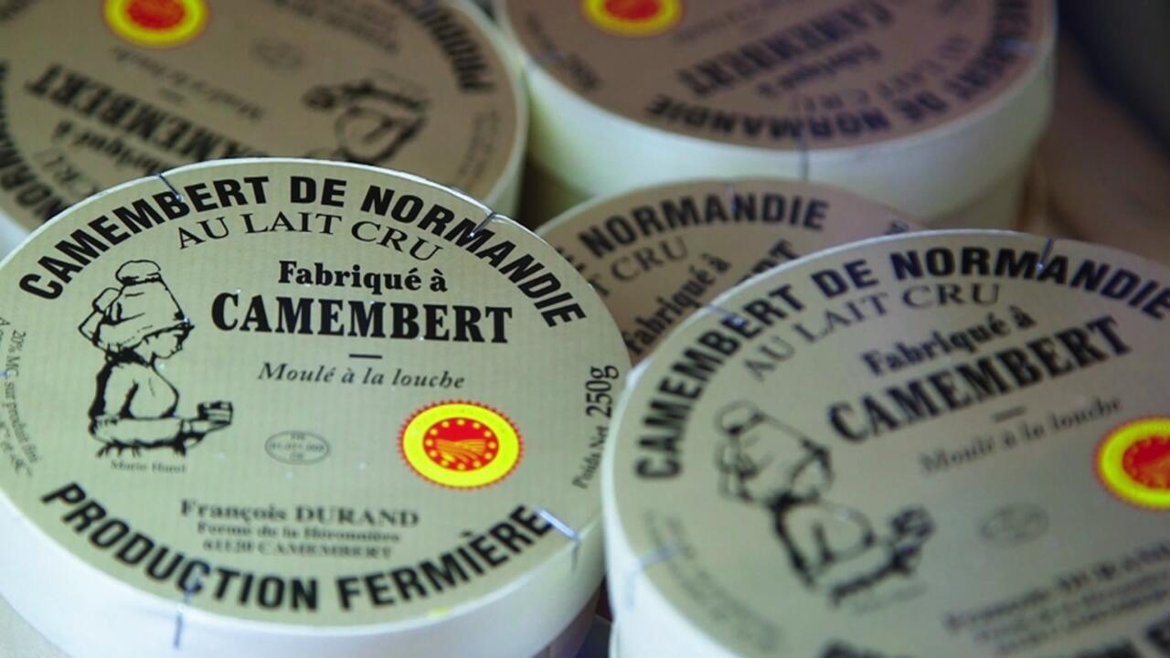 The story of Camembert - You are here