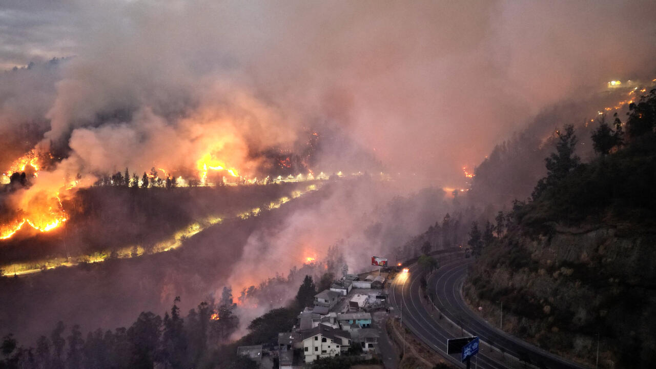 En Équateur, des incendies de forêt menacent la capitale Quito qui ...