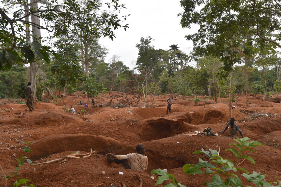 Ivory Coast wants bigger share of its mining boom