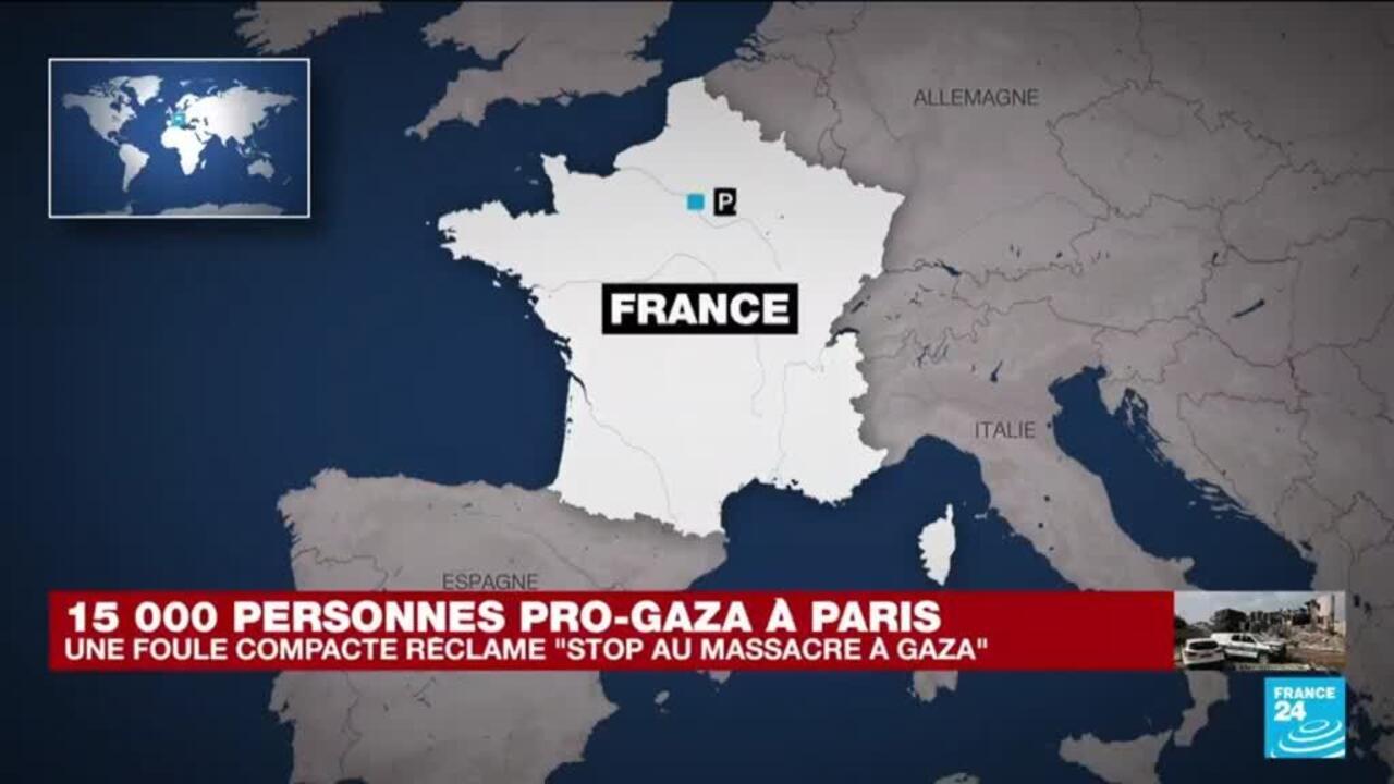"Stop au massacre de Gaza" : une foule de manifestants propalestiniens ...