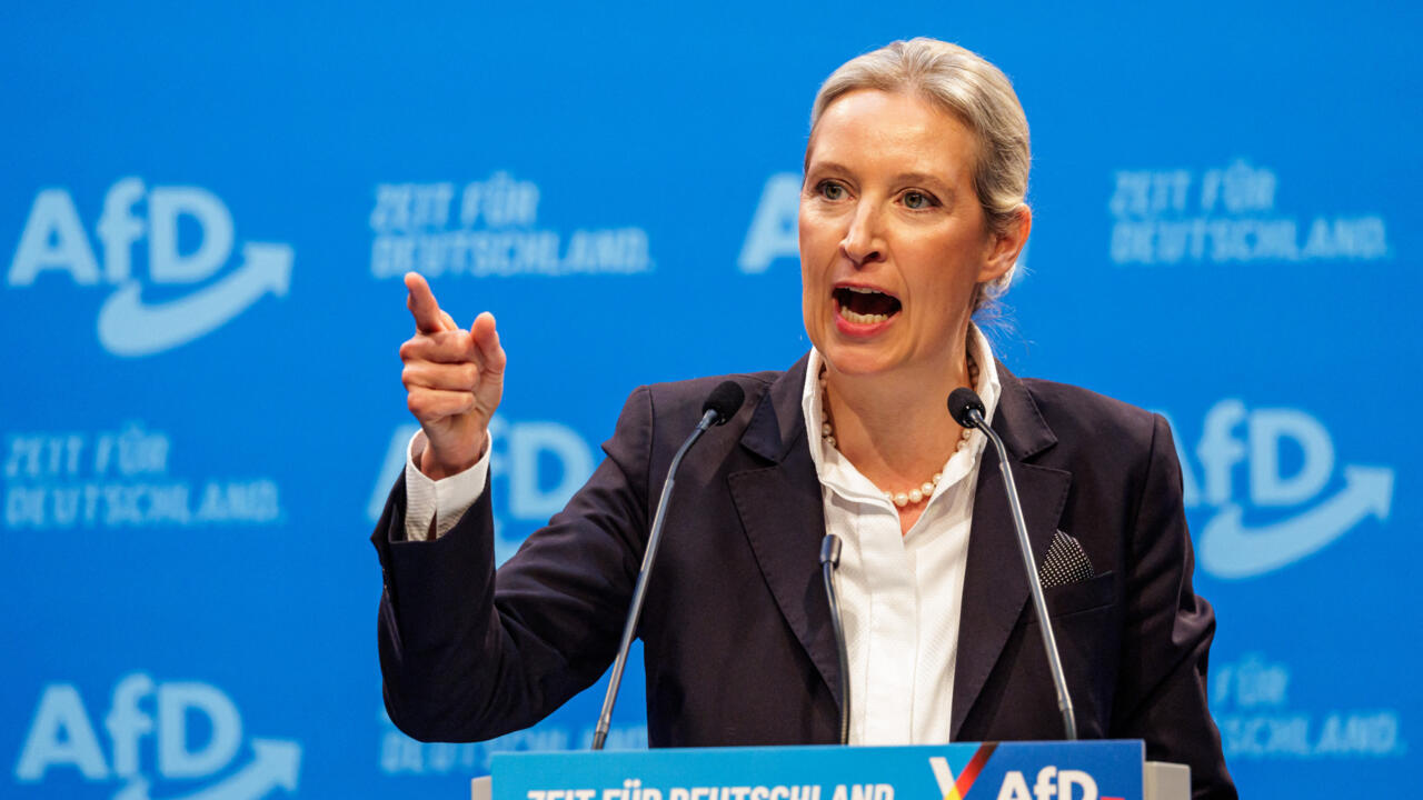 Profil atypique et discours radical : Alice Weidel, la "Dame de fer" de ...